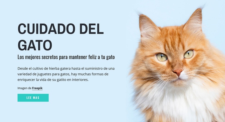 Jorge Quiroga | Desarrollo Web Front-End